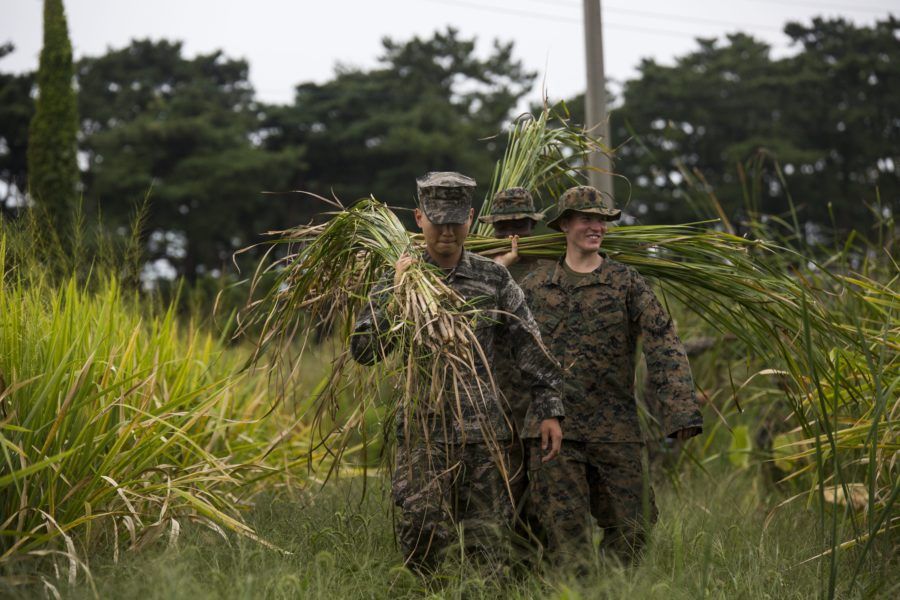 US Marine Corps Language and Cultural Training | Halldale Group